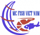 CÔNG TY CỔ PHẦN MC FISH VIETNAM tuyển dụng mới nhất tại TPHCM